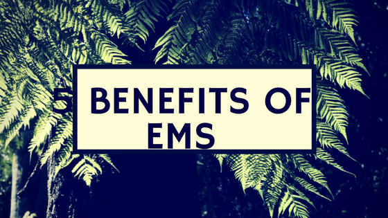 Benefits of Environmental Management System in an organization