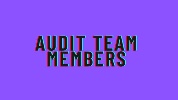 key responsibilities of audit team members