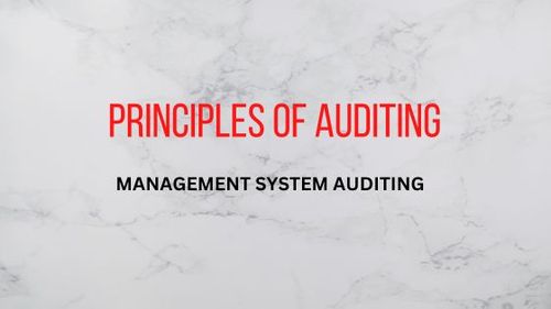 6 principles of auditing for every management system auditor