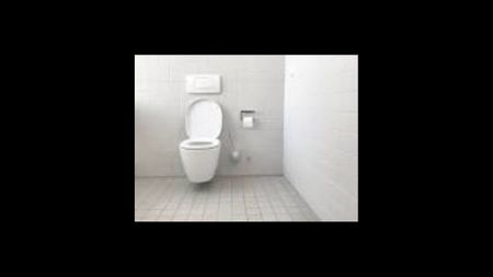 17 ways to maintain toilet hygiene