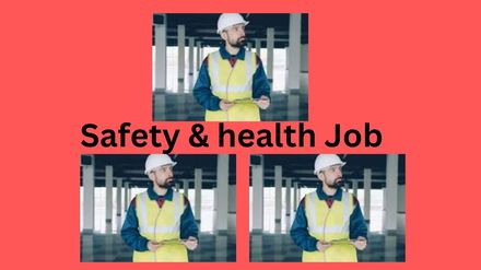 safeguarding field manager role