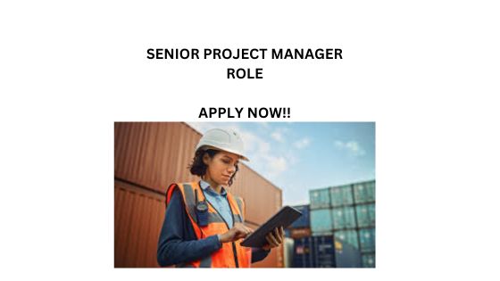 Senior Project manager Role in Abuja